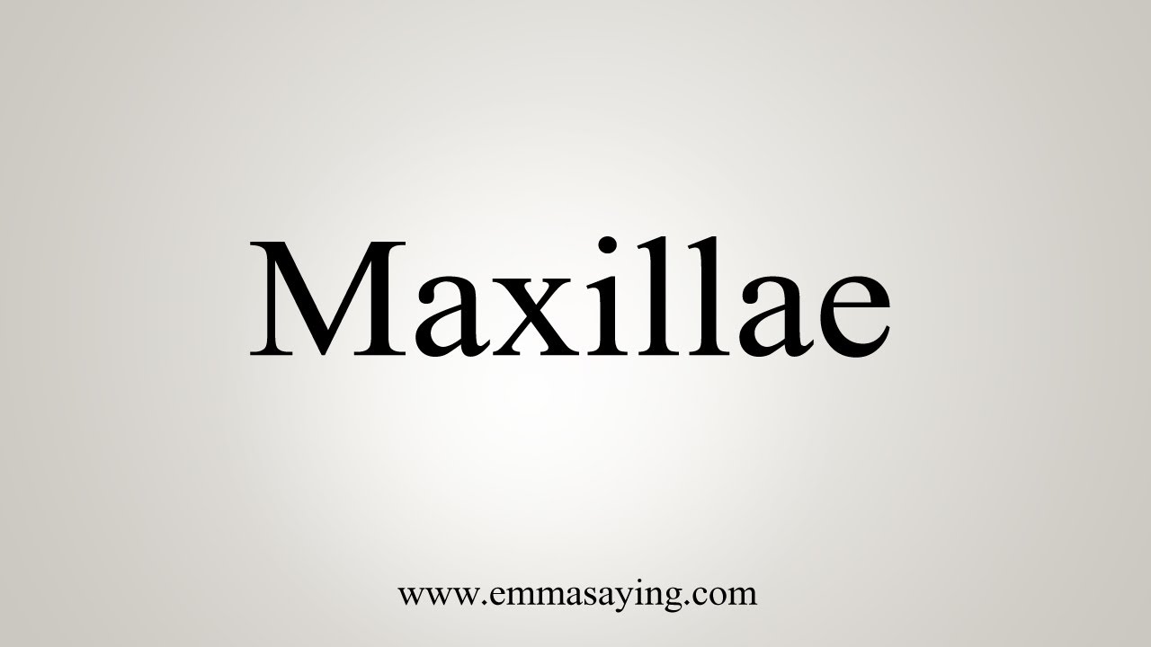 How To Say Maxillae - YouTube
