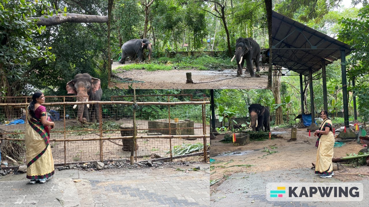Anakotta Elephant Sanctuary , Guruvayur , Kerala , India - YouTube