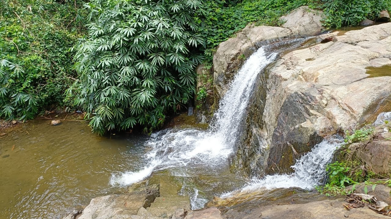 Gundar Private Waterfalls | Jeep Safari | Tenkasi Life - YouTube
