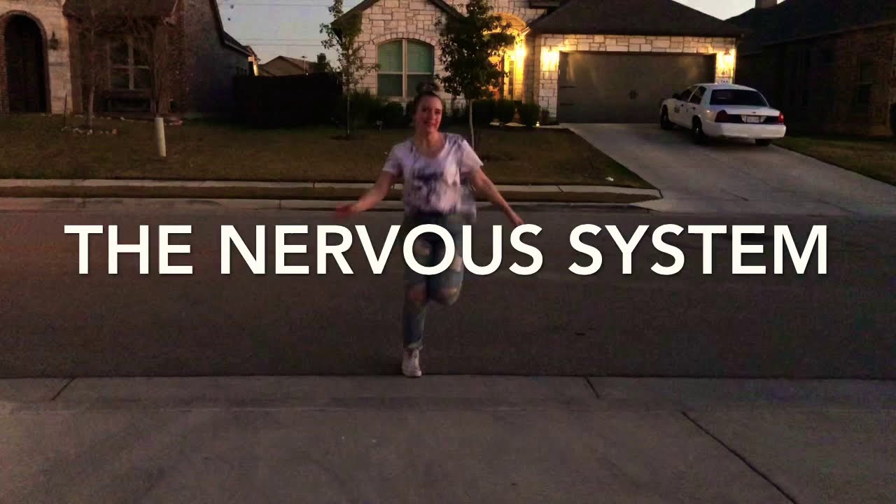 Crash Course: Nervous System - YouTube