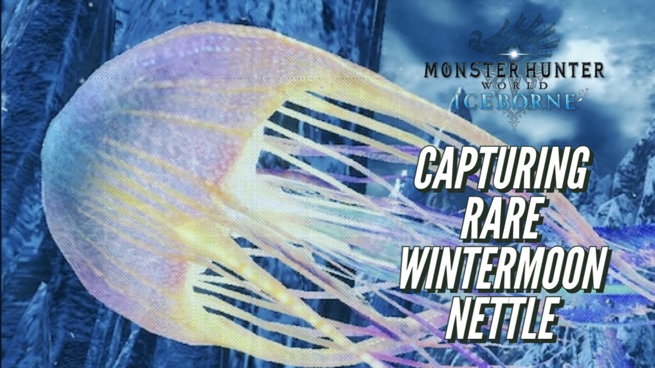 Capturing Rare Wintermoon Nettle | Monster Hunter World Iceborne - YouTube