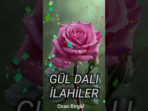 GÜL DALI İLAHİLER