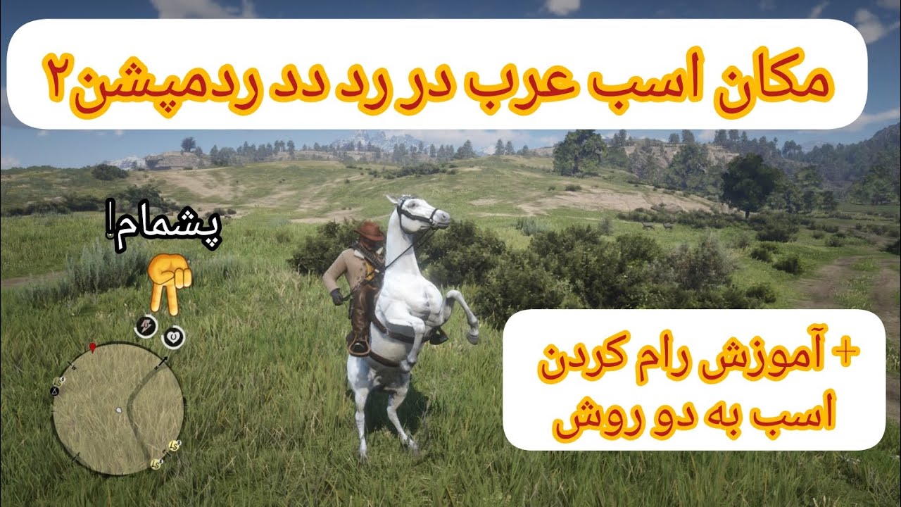آموزش رام کردن اسب ها در رد دد و مکان اسب عرب بهترین اسب بازی Youtube