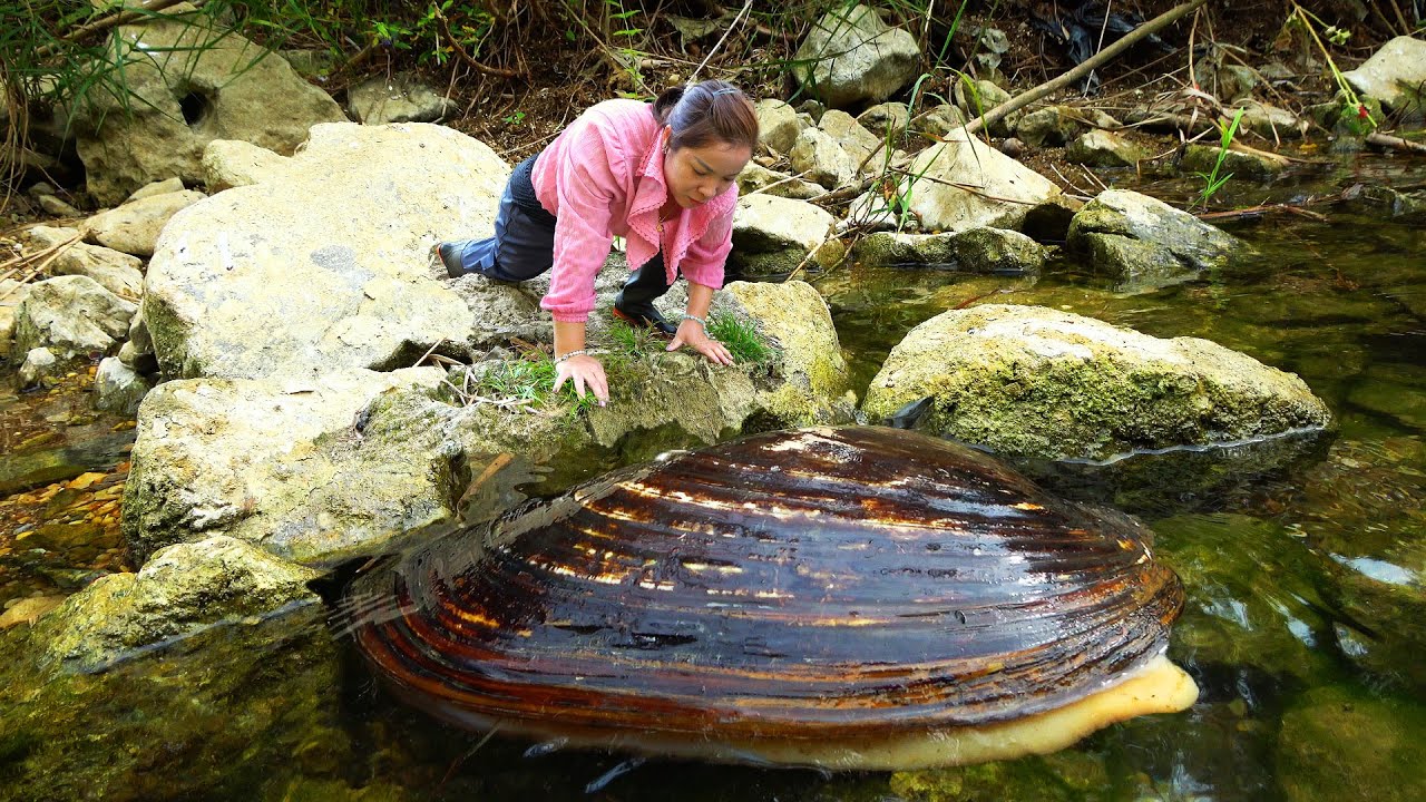 I found huge clams in the beautiful cave and opened them all. There are ...