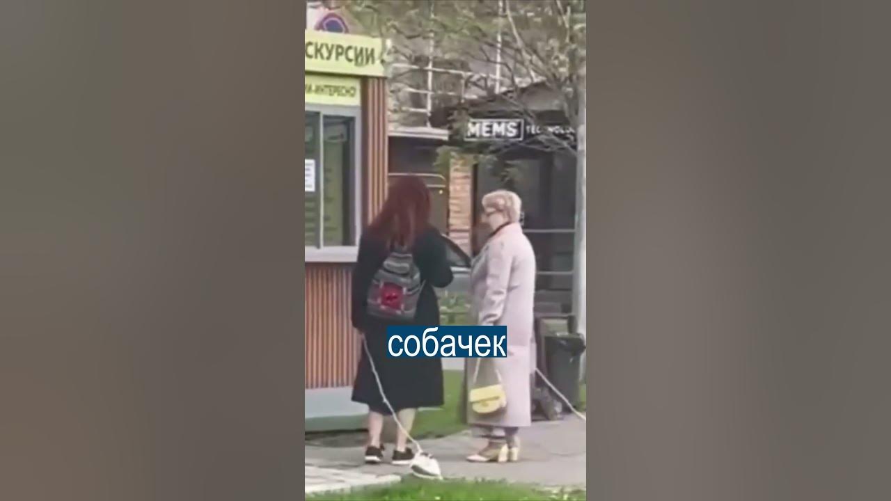 Две женщины ВЫГУЛИВАЮТ УТЮГИ на поводке Youtube