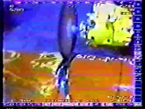 Deepsea Crab sucked up & crushed