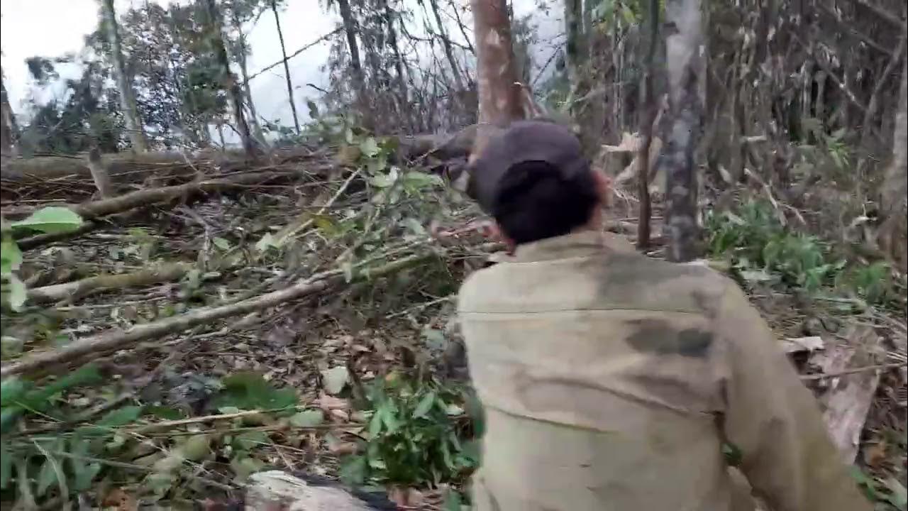 luaj teb ntov ntoo 2024. - YouTube