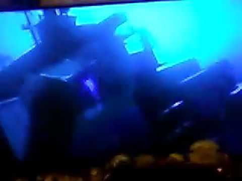 Finding Dory giant squid Chase throw the pizzas and find her family are ...