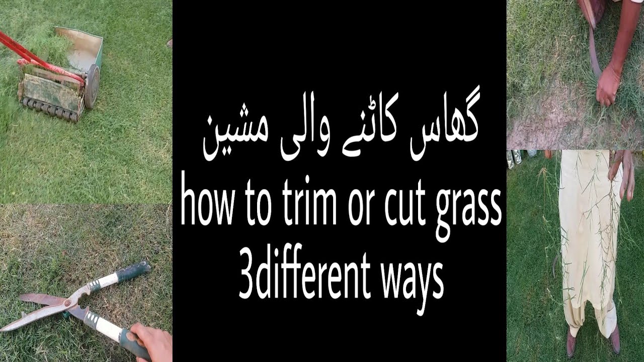 How to cut or trim grass/3different ways are to cut grass/گھاس کاٹنے ...