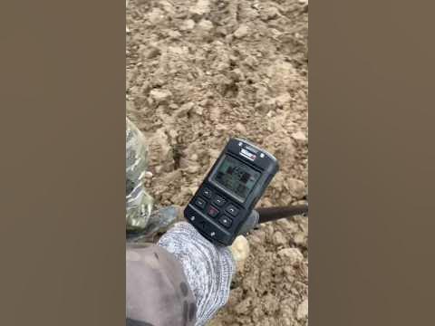 Боялся дышать супер сигнал #коп #металлоискатель #находки #поискмонет # ...