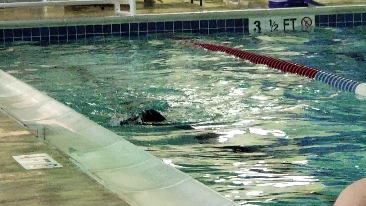 Daniel Ramirez NJ 08-2018 swimming full lap. - YouTube