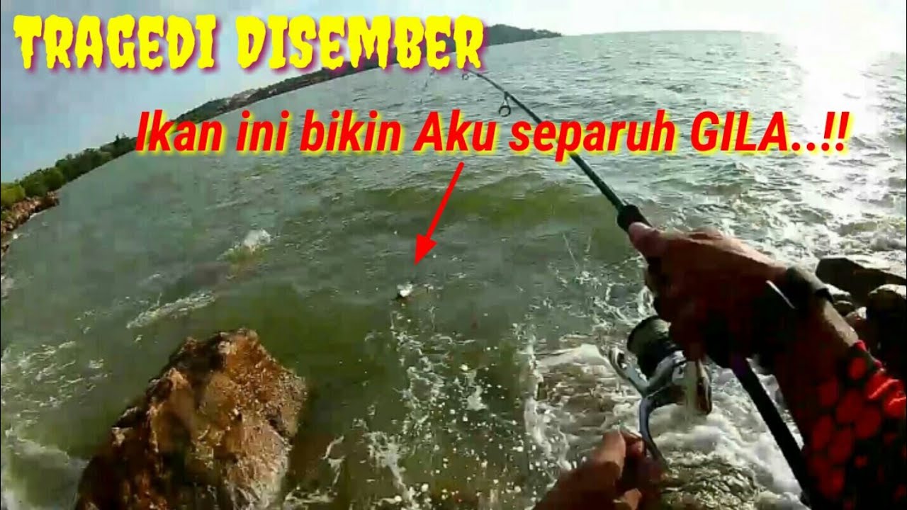 Ikan ini bikin Aku separuh Gila..(Part 1)||Casting Siakap@Barramundi ...