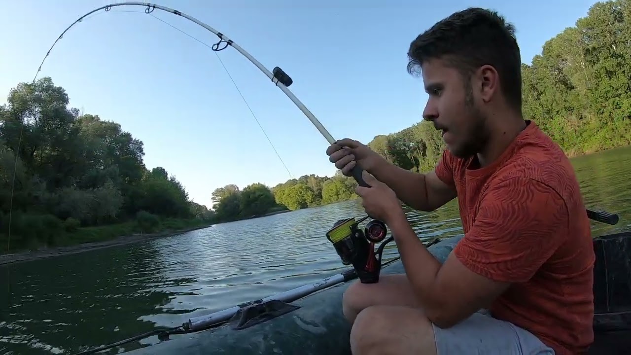 Big silure du rhone 2M50+ by Catfish-30 - YouTube