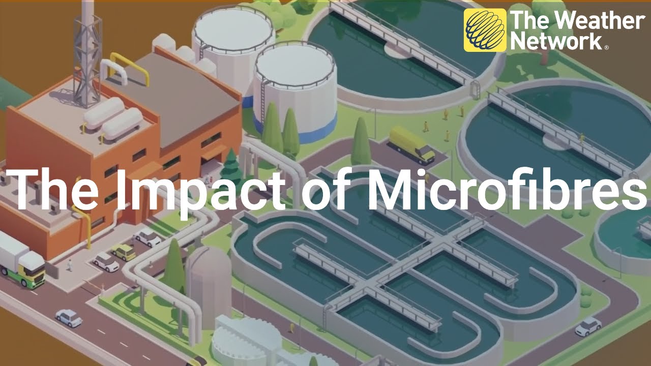 From your laundry to the ocean, how microfibres are impacting the ...