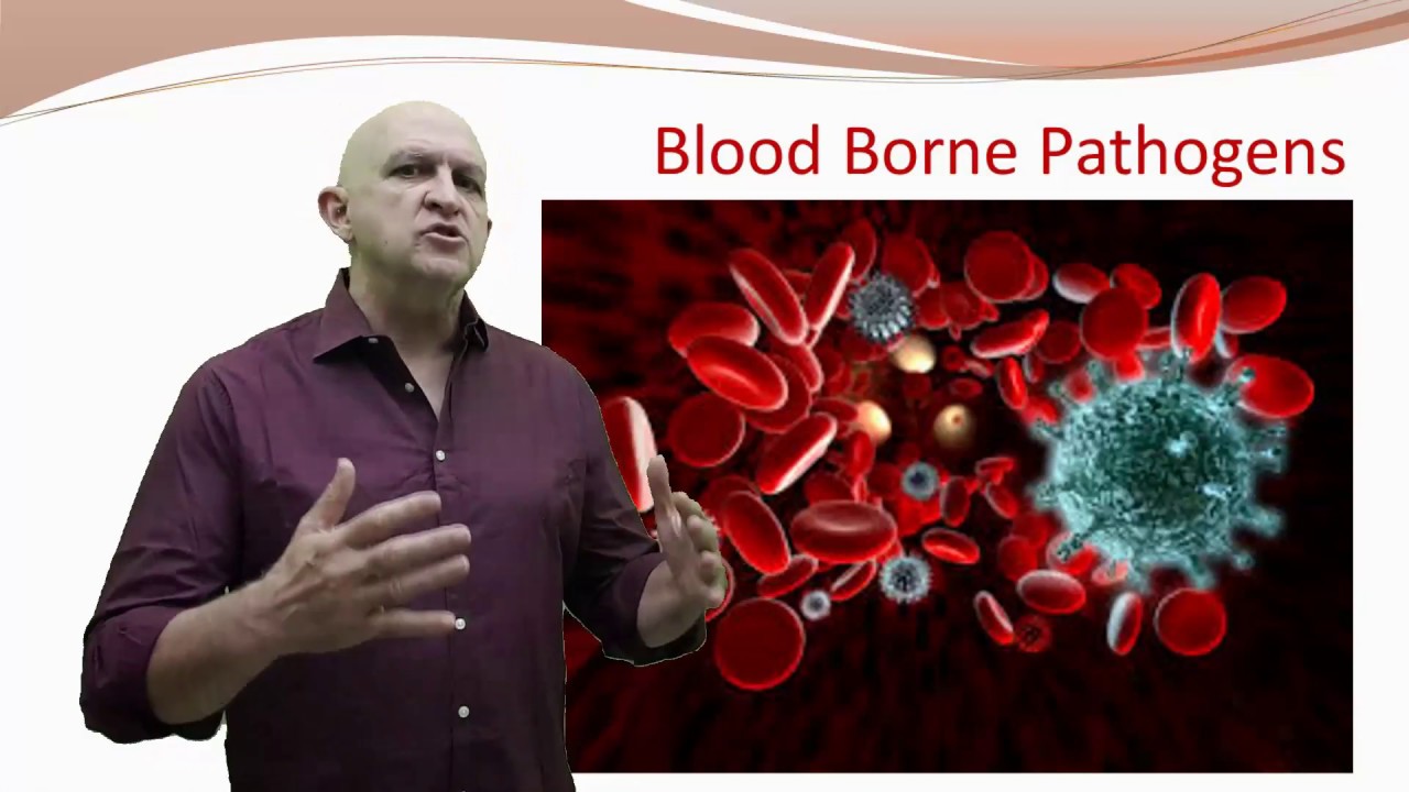 Blood Borne Pathogens Training - YouTube
