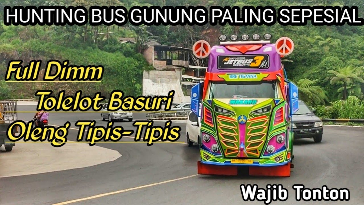Hunting Bus Gunung Paling Sepesial!! Full Dimm , Basuri & Oleng Tipis ...