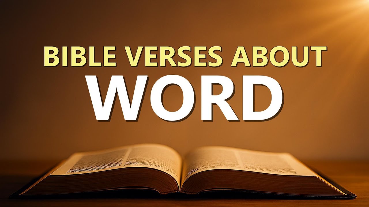 Bible Verses about the Word of God What Does the Bible Say? - YouTube