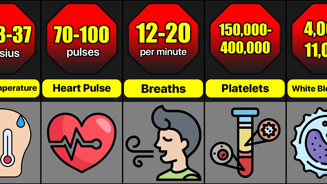 Medical Numbers In The Life Of Every Human Being | Average Medical ...