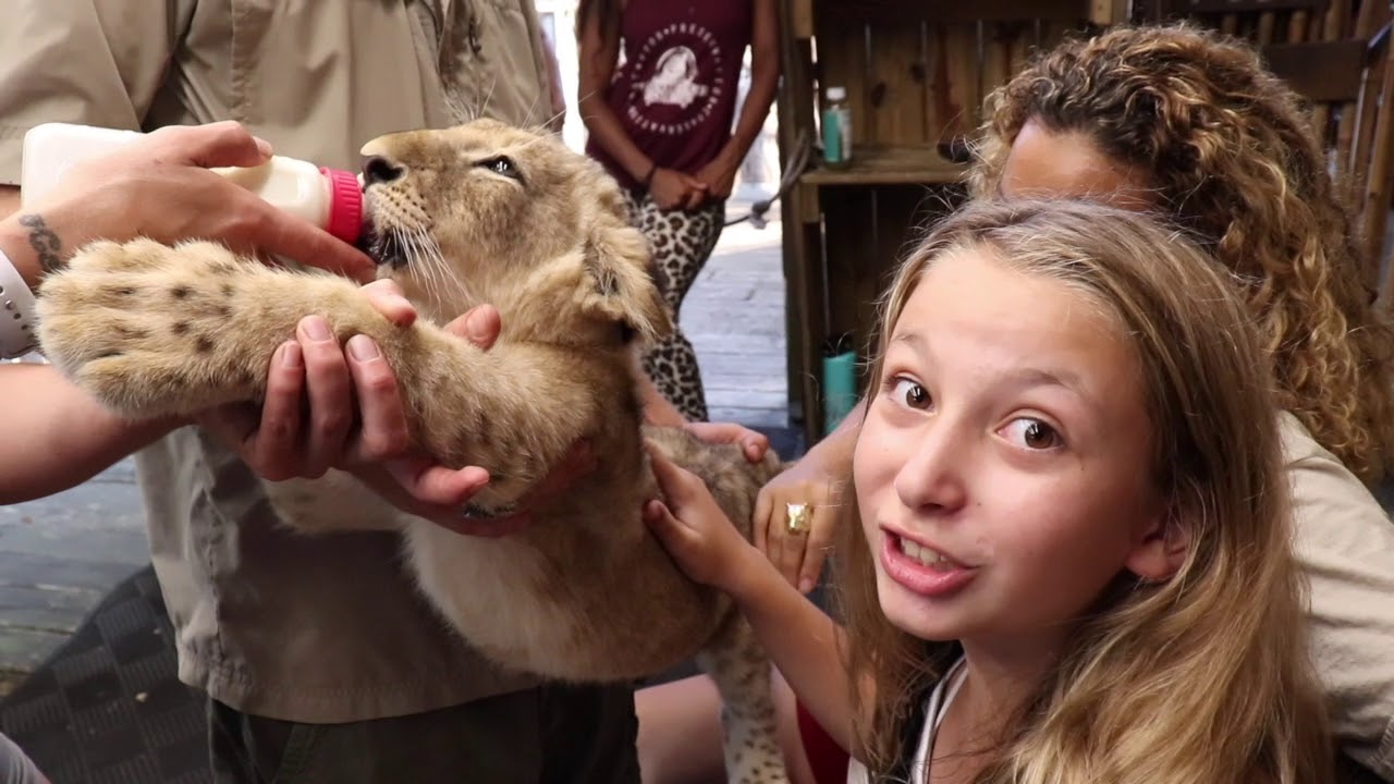 Demi Walker at Tiger Safari in Myrtle Beach SC - YouTube