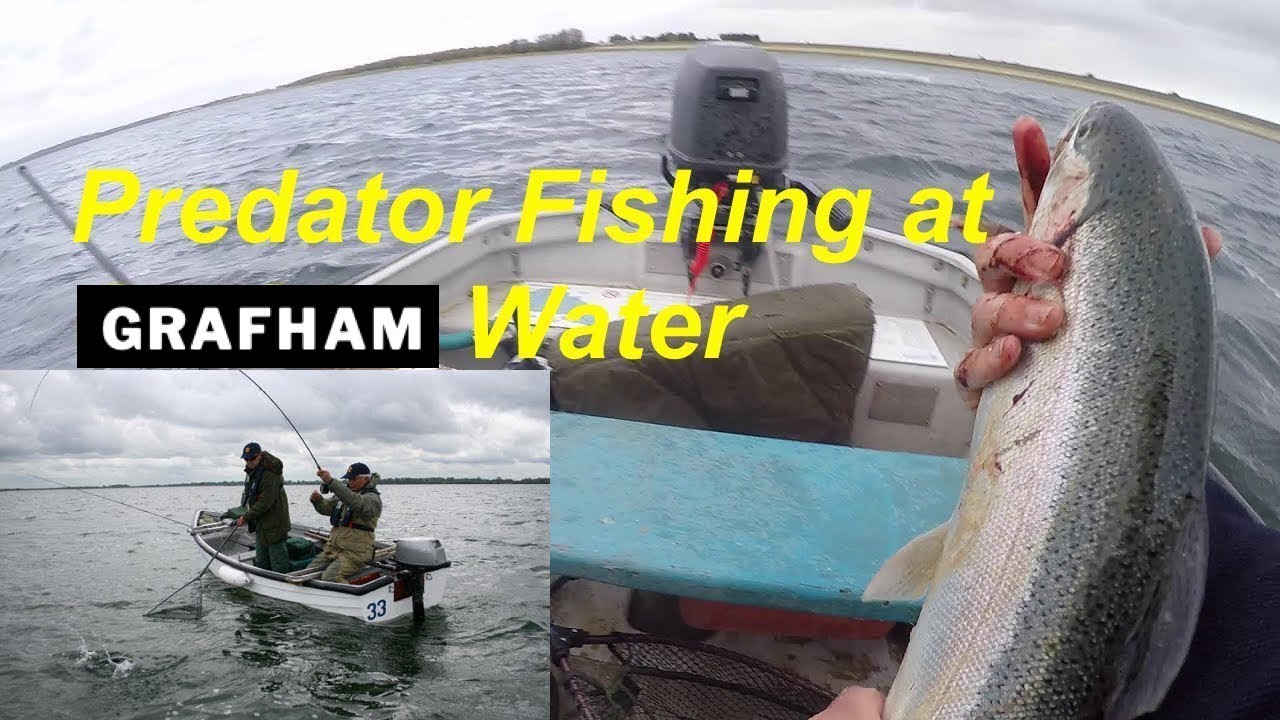 Predator Fishing at Grafham Water - YouTube
