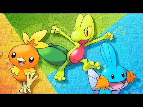 Treecko, Torchic, Mudkip Camp!/ Pokémon Camp - YouTube