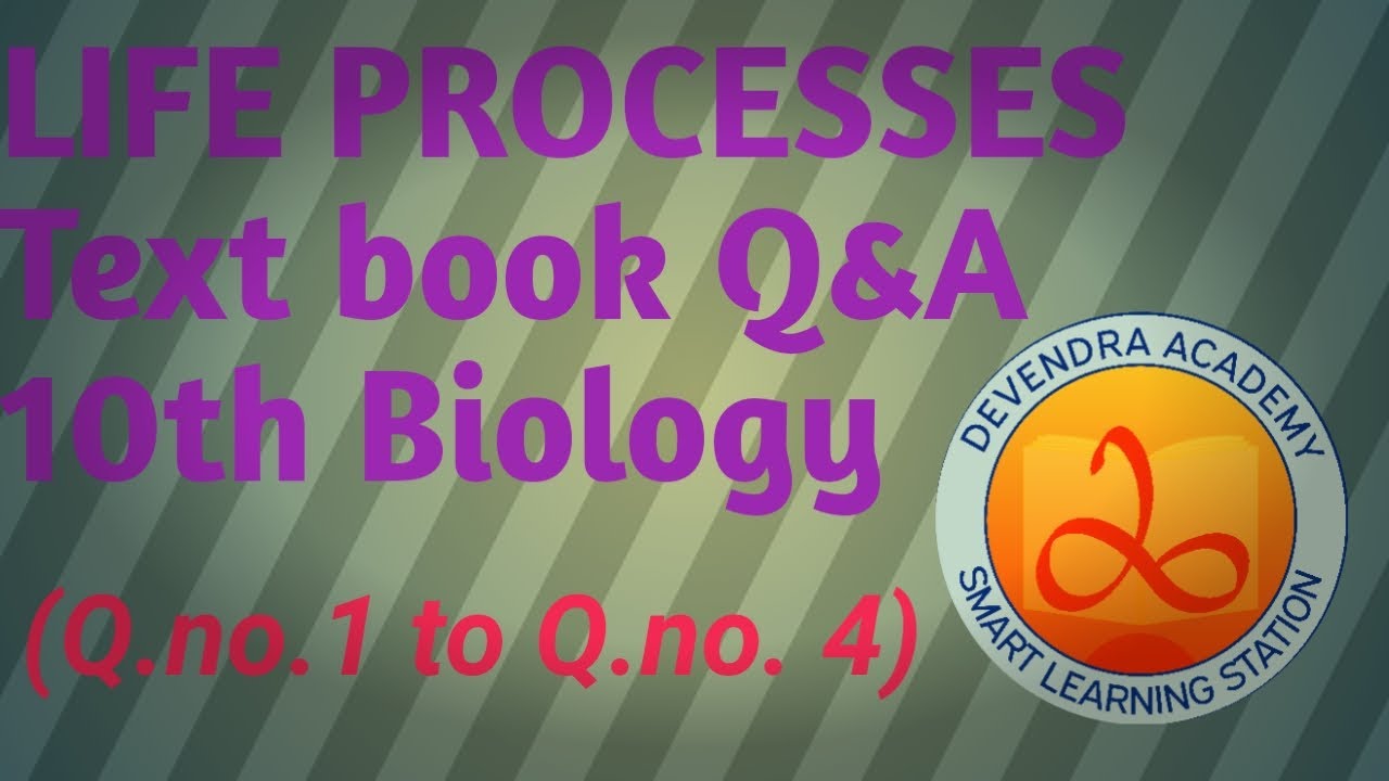 Life Processes/ 10th science/JKBOSE/ CBSE/Textbook Questions1-4/ - YouTube
