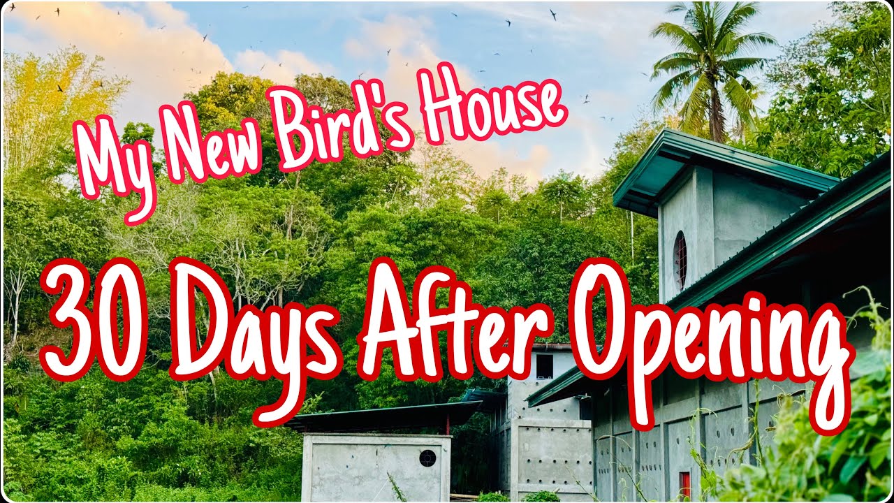 30 days After Opening BH - YouTube