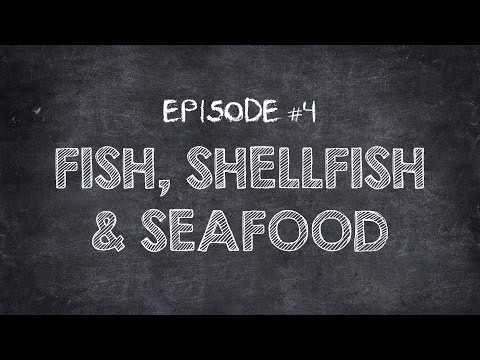 Cuisinart Culinary School - Episode 4