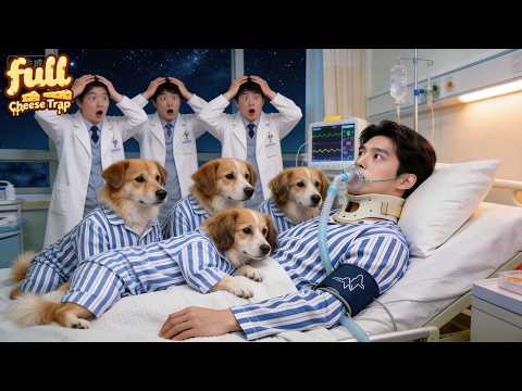 Top Doctors Gave Up On The Ceo—Until 4 Lost Little Kids Slept Beside Him, And He Woke Up Alive!