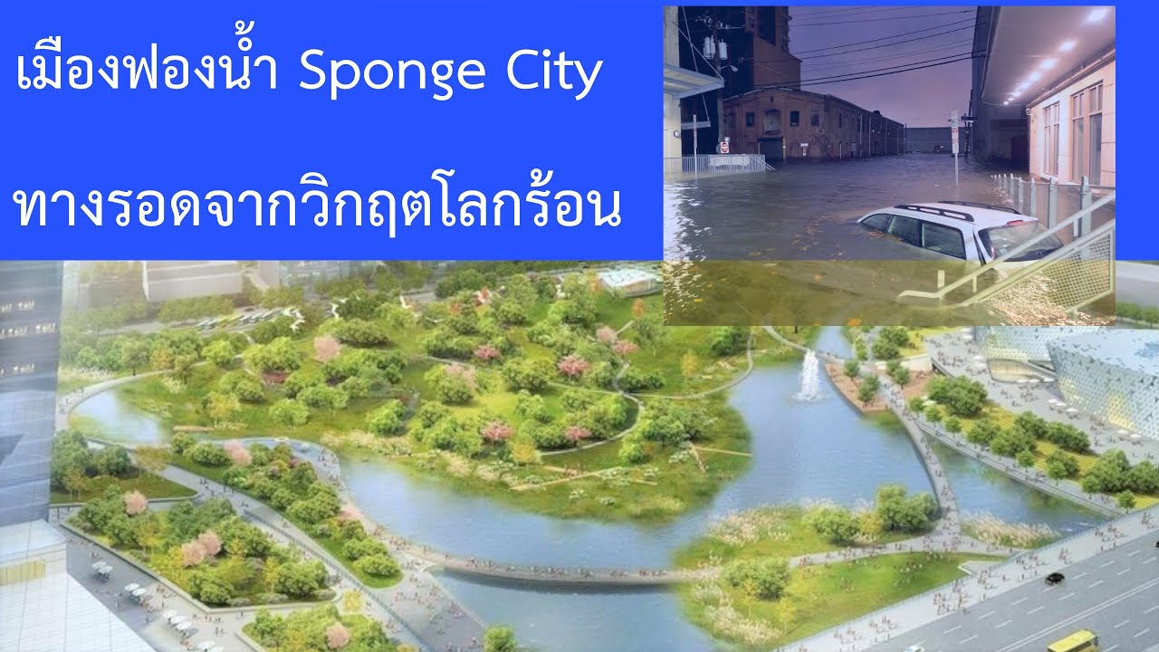 Sponge City เมืองฟองน้ำ เมืองที่คนอยู่ร่วมกับน้ำได้อย่างเป็นมิตร - YouTube