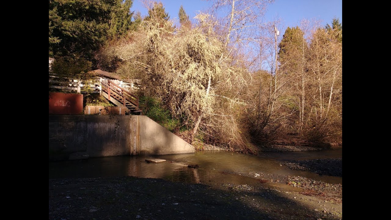 Freshwater Park in Humboldt County - Dec. 2018 - YouTube