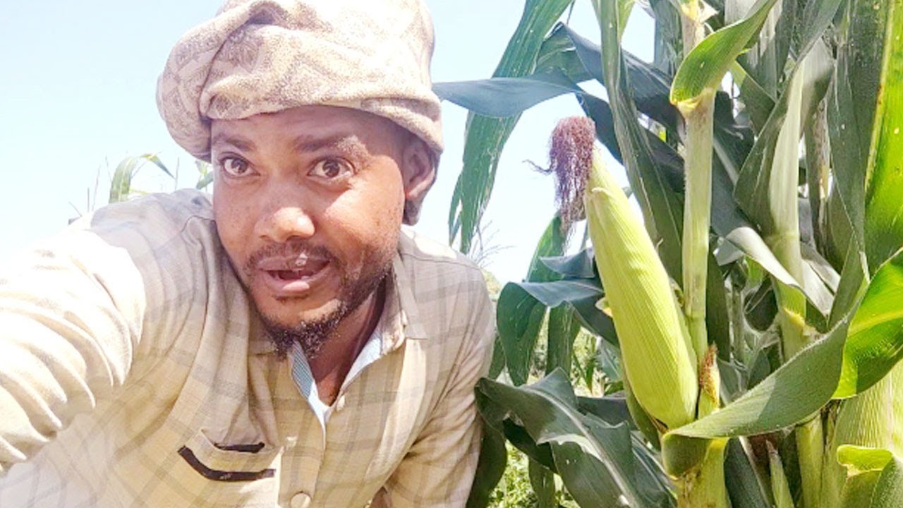 BEER SABUUL CAJIIB AH KA BAXAY TALOOW YAA ISKA LEH 2021 HD - YouTube