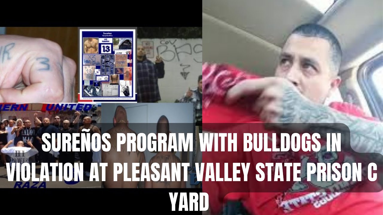 SUREÑOS PROGRAM WITH BULLDOGS IN VIOLATION AT PLEASANT VALLEY PRISON C ...