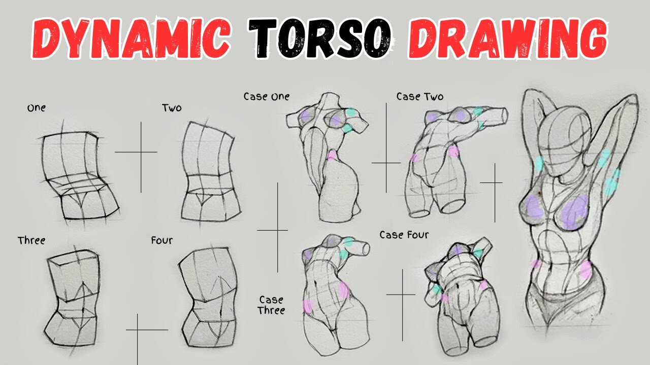 How to Draw a Dynamic TORSO: From Simple Shapes to Dynamic Poses! - YouTube
