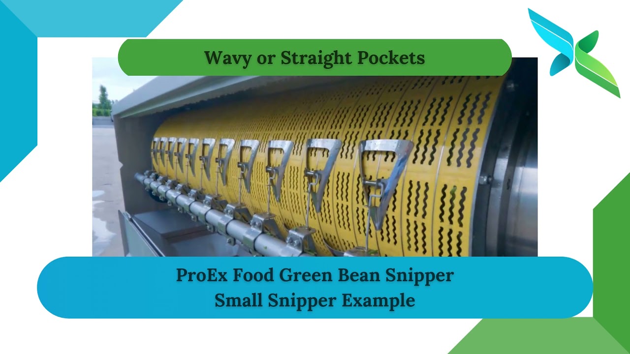 PROEX FOOD Green Bean Processing Line; Small Snipper - YouTube
