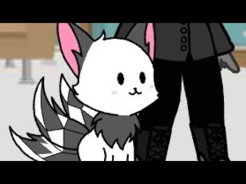yep this my cat tobi that's why u said who is tobi •›• - YouTube