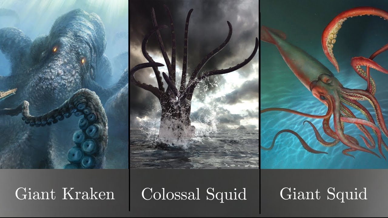 Kraken vs Colossal Squid vs Giant Squid: Myth & Reality of Sea Monsters ...