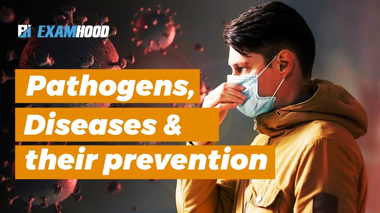 Pathogens-diseases-and-their-prevention - YouTube