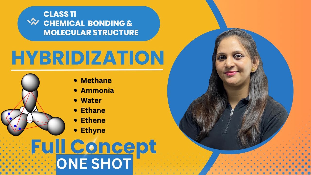 Hybridisation class 11 chapter 4|chemical bonding ans molecular ...