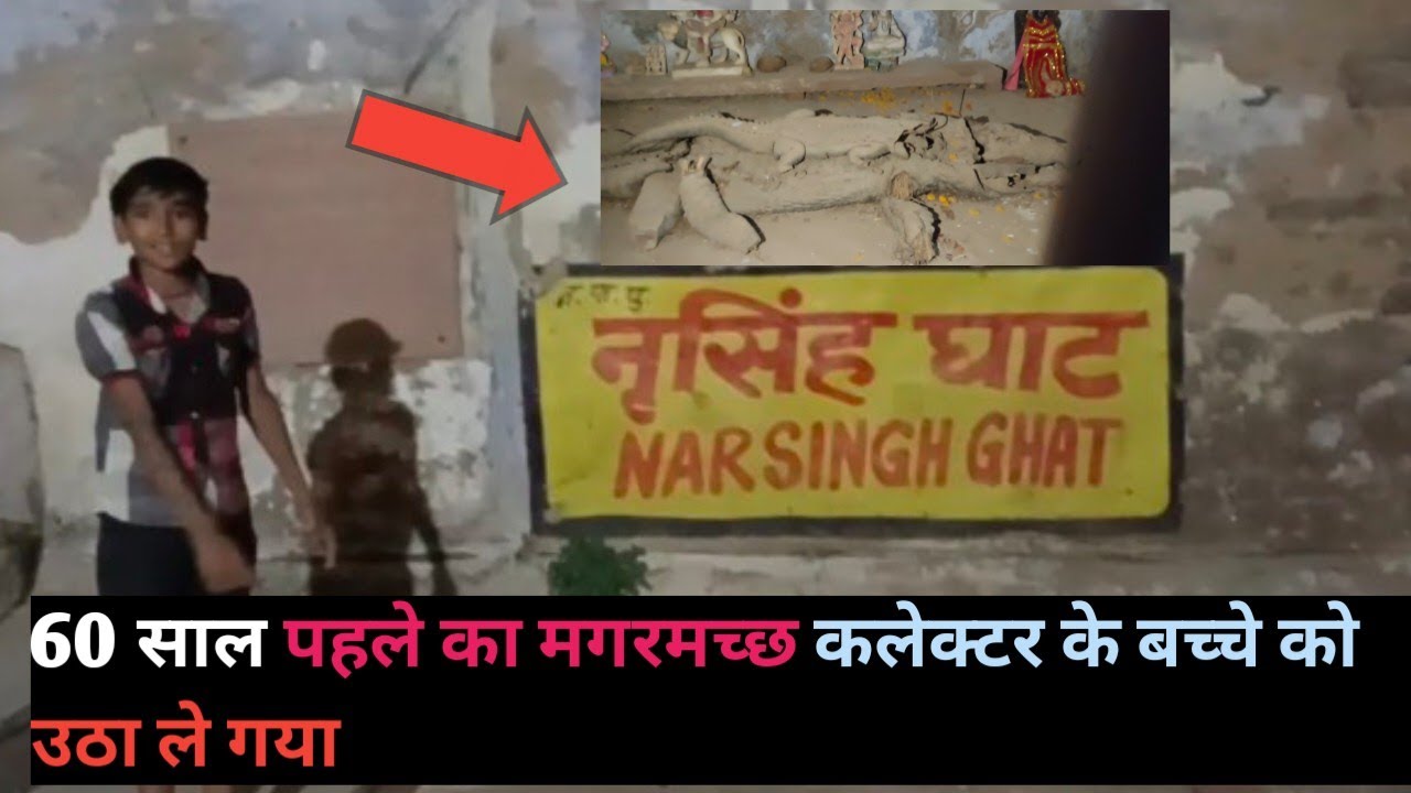 60 saal purana magar mach collector ke bache ko utha le gya ||pushkar ...