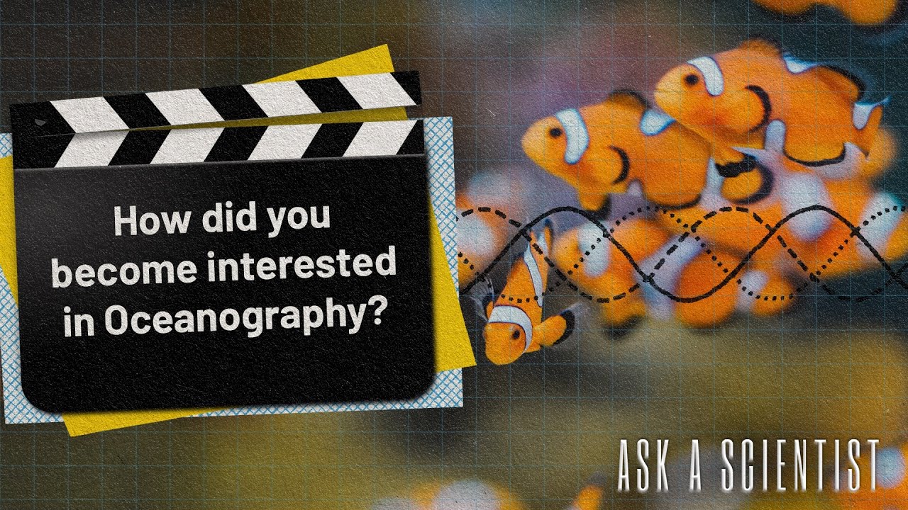 ASK A SCIENTIST… how did you become interested in Oceanography? - YouTube