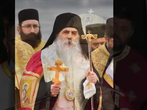 Irinej Bulovic u raspravi sa profesorima Bogoslovskog fakulteta - YouTube