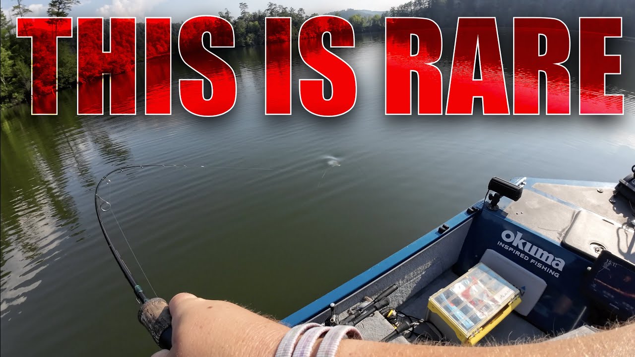 FISHING FOR THE MOST ELUSIVE FISH IN PARKSVILLE LAKE (CRAPPIE) - YouTube