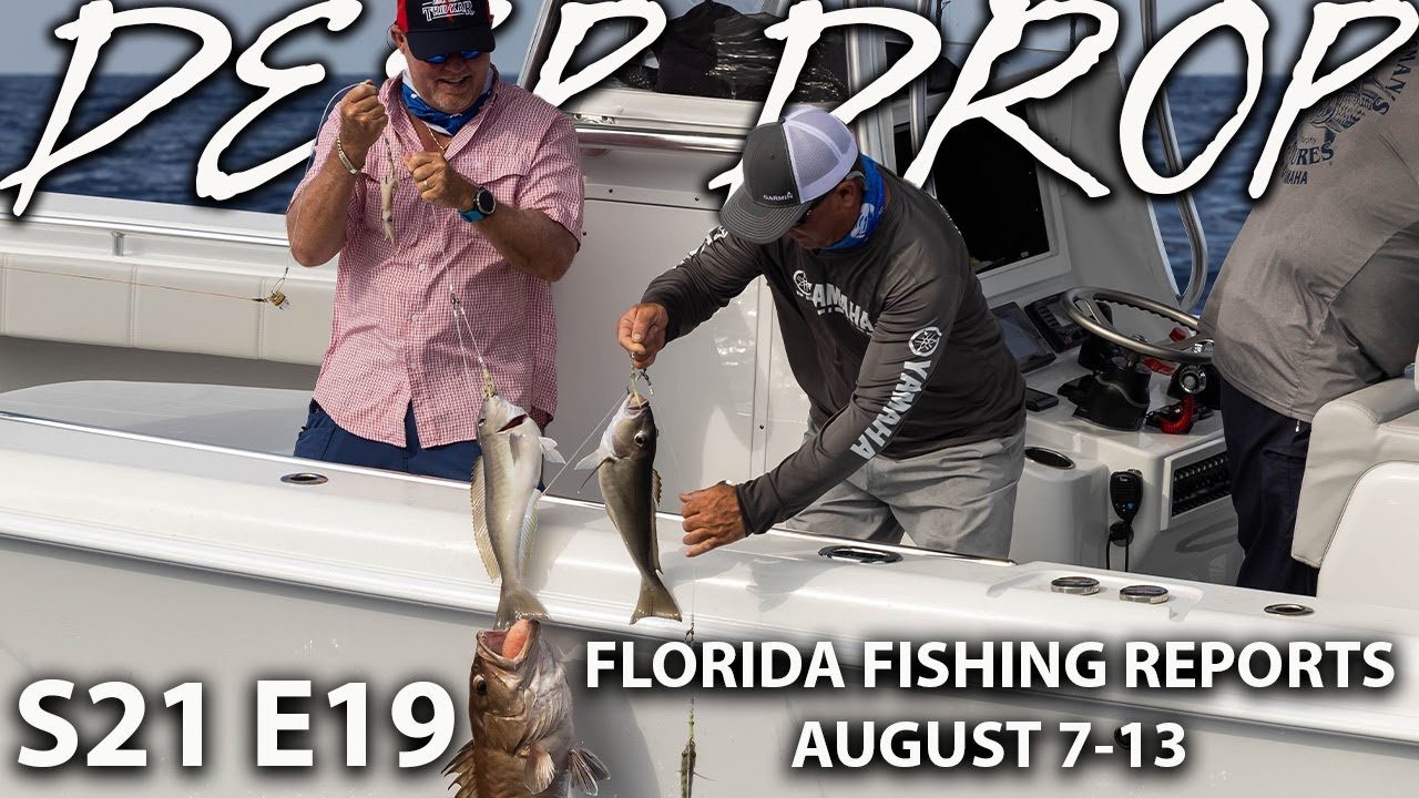 Deep Dropping in Florida! | Florida Fishing Reports in August - YouTube