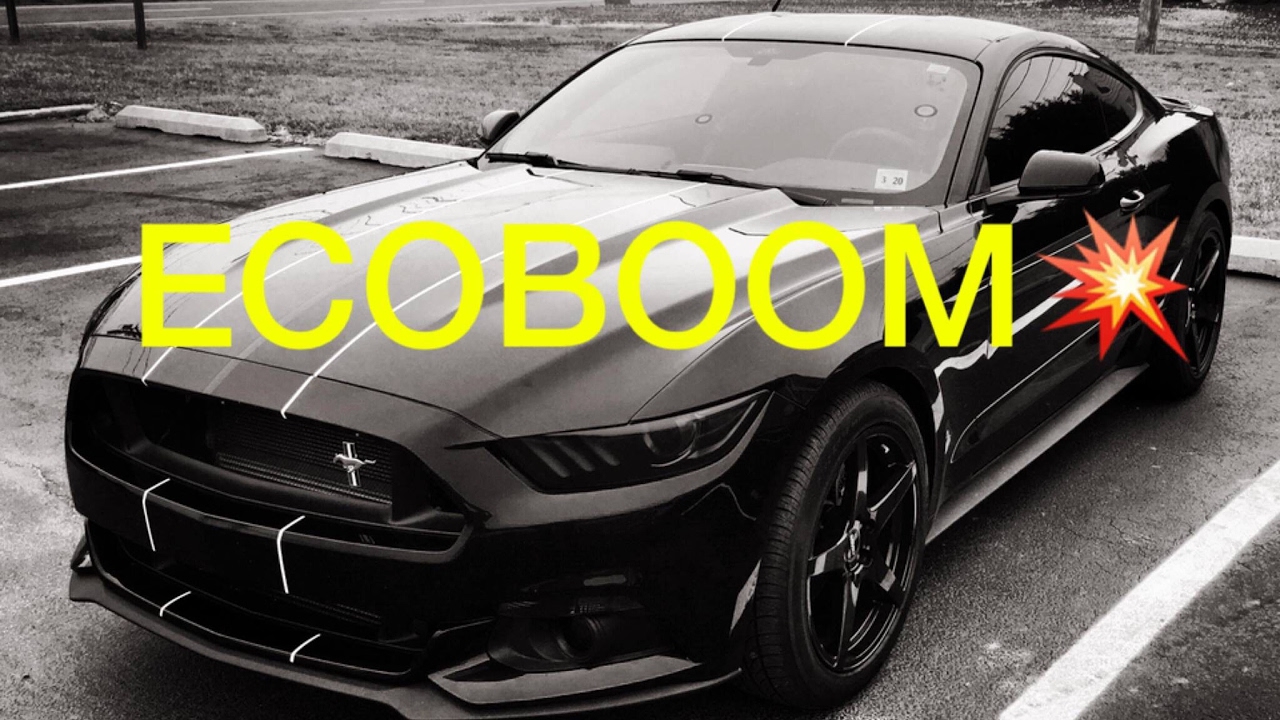 Ecoboom! How to prevent your Ecoboost Mustang from Blowing Up and next ...