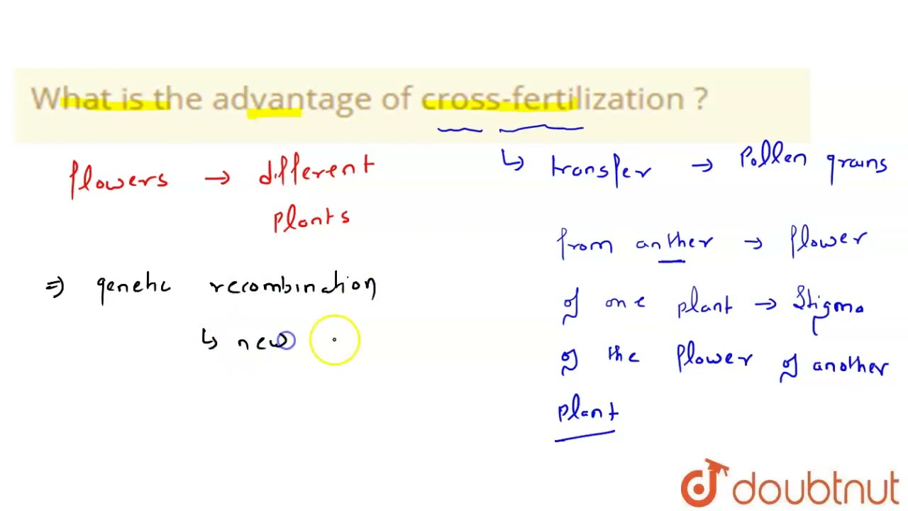 Cross Fertilization