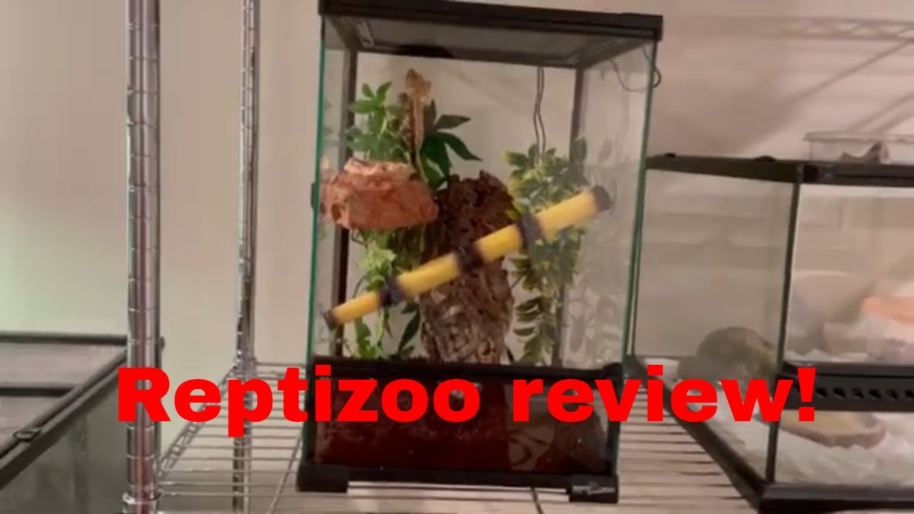 Reptizoo Terrarium review - YouTube