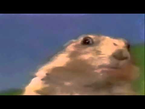 AHAHAHAHAHAHAHAHAHAHAHAHAHAH!    L O    D O V E TE   V E D E R E