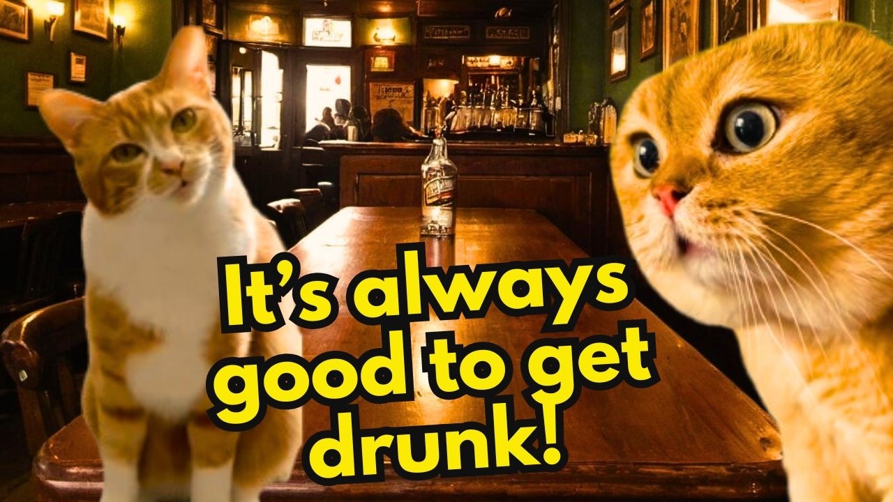 When a Cat and his Neighbor go drinking in a Irish Pub (featuring ha ...