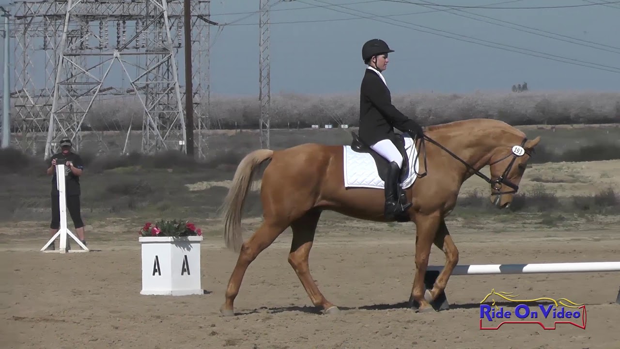 193D Hailey Dahlstrom on Stetson JR Novice Dressage FCHP February 2018 ...